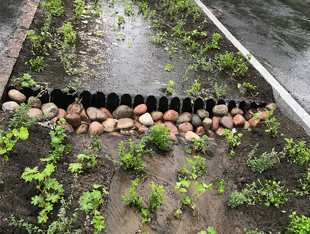 Løsninger til Regnvandshåndtering